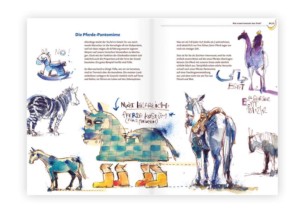 Tiere zeichnen und verstehen - Verlag Hermann Schmidt