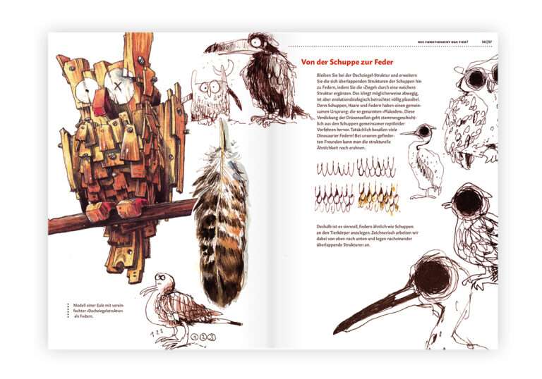 Tiere zeichnen und verstehen - Verlag Hermann Schmidt